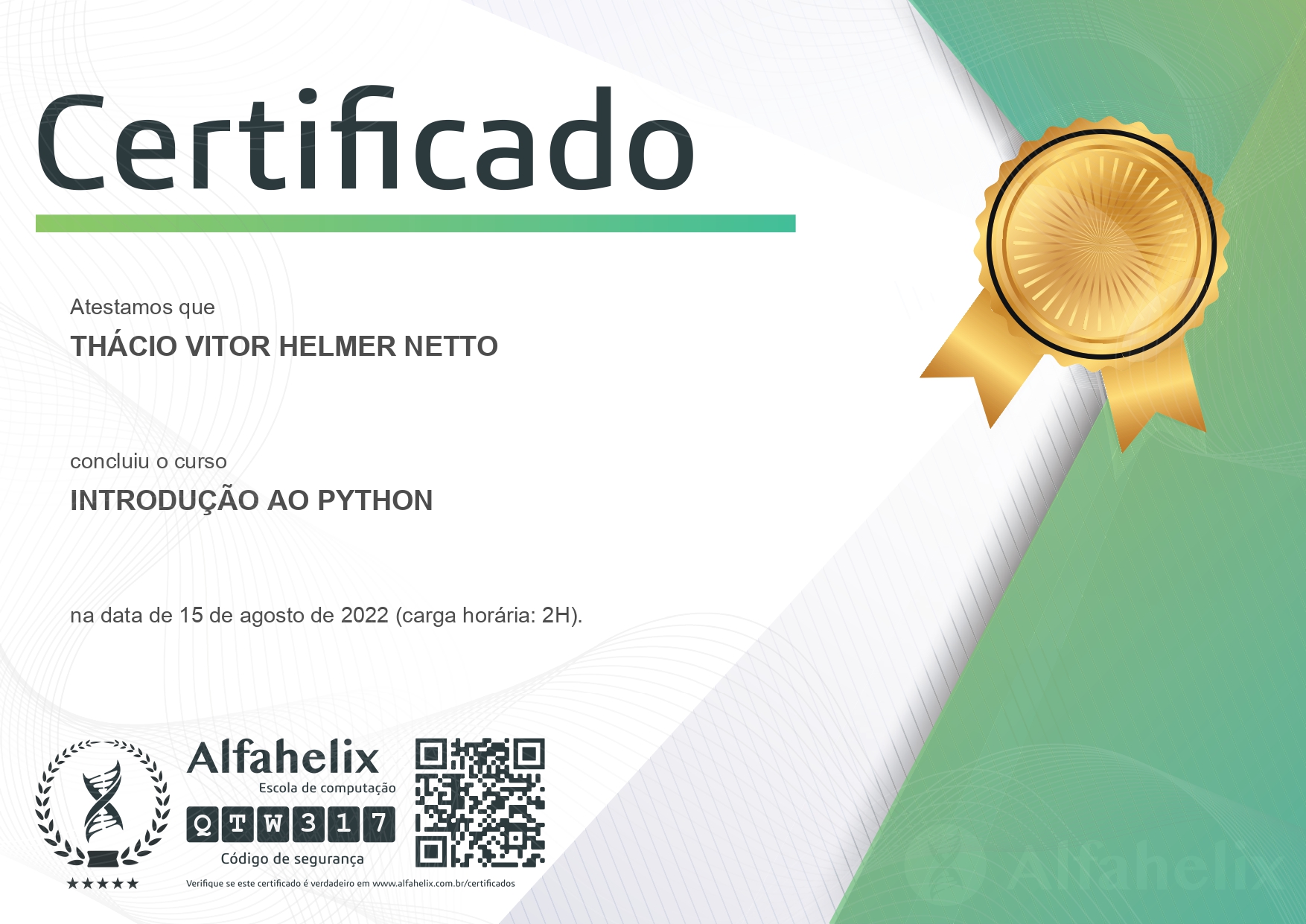 Thácio Helmer - Full Stack Web Developer Pleno | C# | NodeJs | Vue | LinkedIn